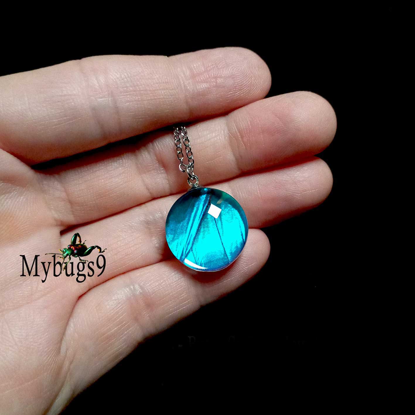 Test Morpho Butterfly Copy